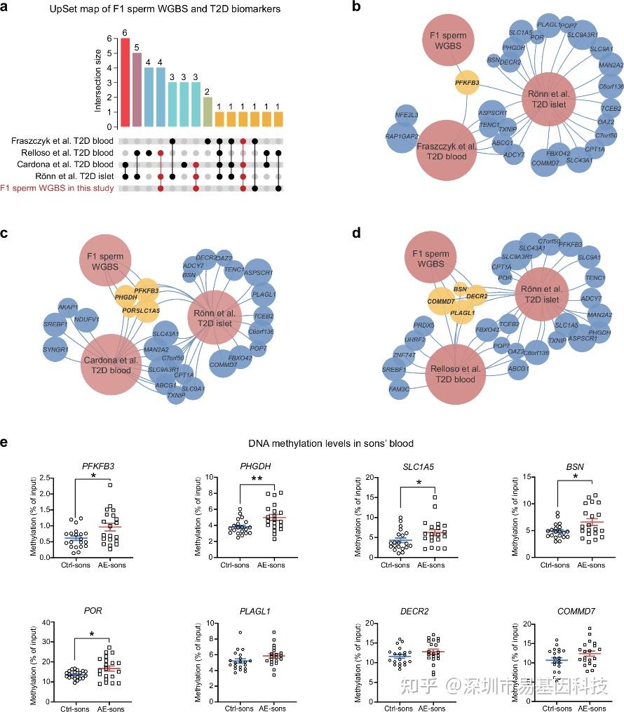 易基因：山东大学陈子江/赵涵团队利用WGBS揭示跨代遗传的DNA甲基化机制｜Cell Discovery - 知乎