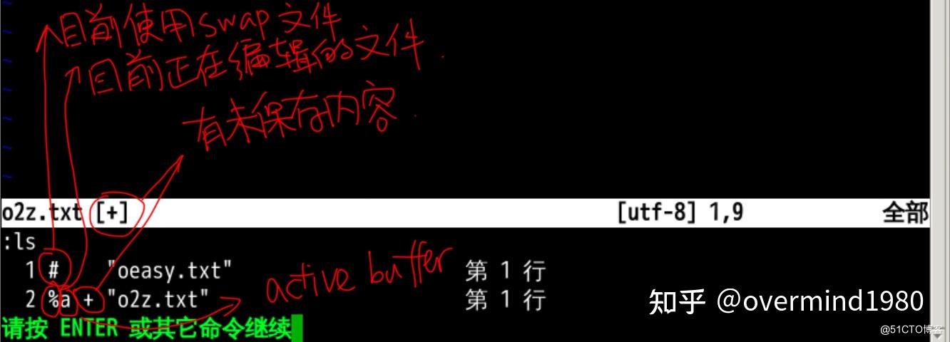 oeasy教您玩转vim - 62 - # 缓冲buffer - 知乎