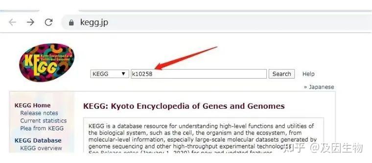 KEGG数据库最全介绍，一起来看看吧 - 知乎