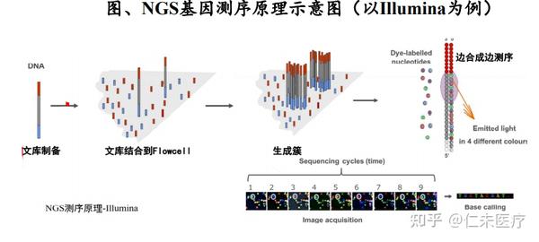 一文读懂：肿瘤诊断的金标准——病理诊断 - 知乎