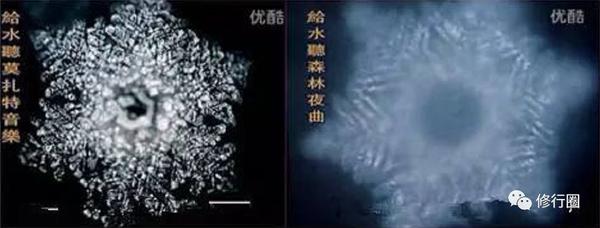 《水知道答案》证明“相由心生、境随心转”的秘密... - 知乎