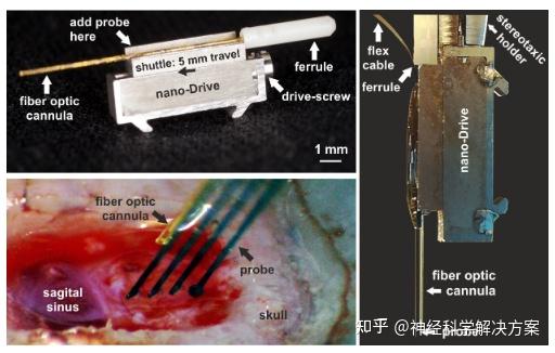 Cambridge NeuroTech电极硅神经探针 - 知乎