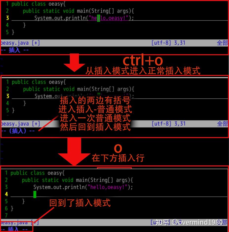 oeasy教您玩转vim - 10 - # 插入新行 - 知乎