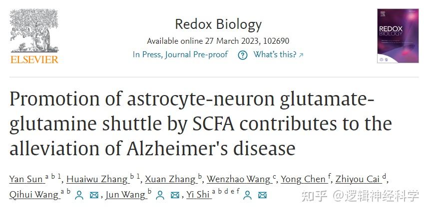 Redox Biol︱中科院施一/王军/王奇慧团队揭示短链脂肪酸促进星形胶质细胞-神经元代谢偶联缓解阿尔茨海默病 - 知乎