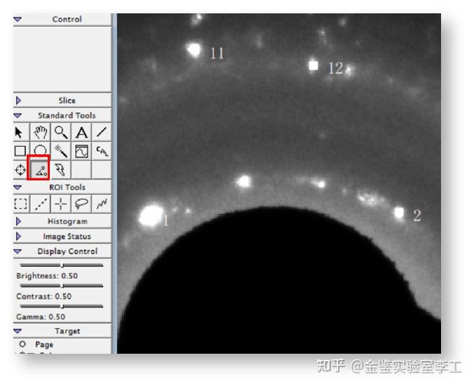 如何用Digital Micrograph（DM）软件分析与处理透射电镜TEM图像测试结果 - 知乎