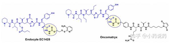 ADC有效载荷及研究进展详述 - 知乎