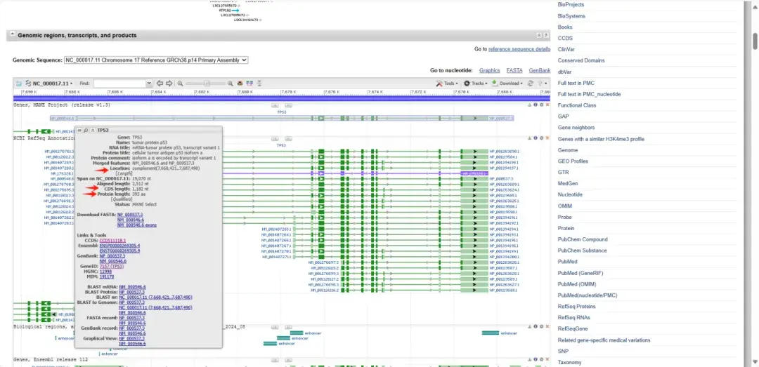 NCBI保姆级使用教程（包含如何查找CDS、启动子、5'UTR和3'UTR、lncRNA序列） - 知乎