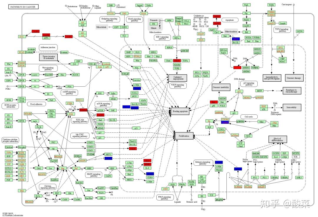 如何快速做出高质量KEGG通路图？ - 知乎