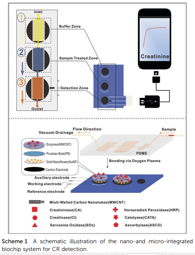 基于电化学的POCT肾病检测方法 - 知乎