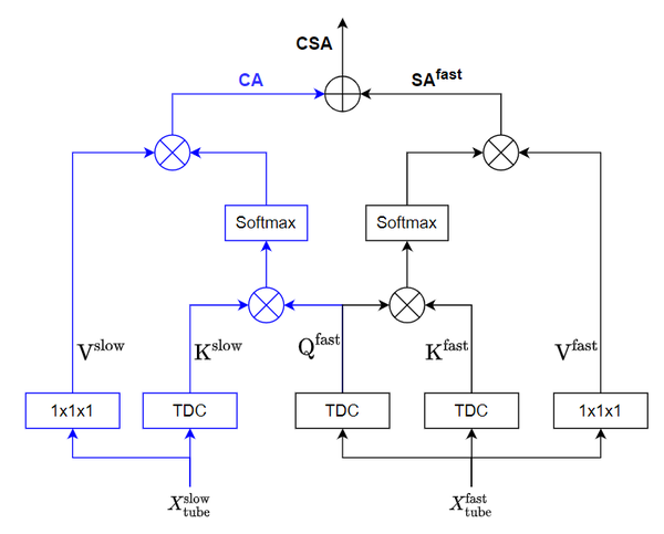 【rPPG论文阅读】PhysFormer++: Physiological Measurement with SlowFast ...