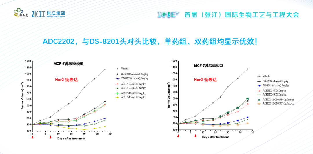 写意报告丨定点偶联与双药ADC，逃出“红海”的两块跳板？ - 知乎