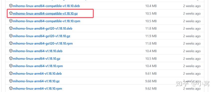 kali-Linux使用proxychains4配置clash前置代理（附带虚拟机共享主机代理步骤） - 知乎