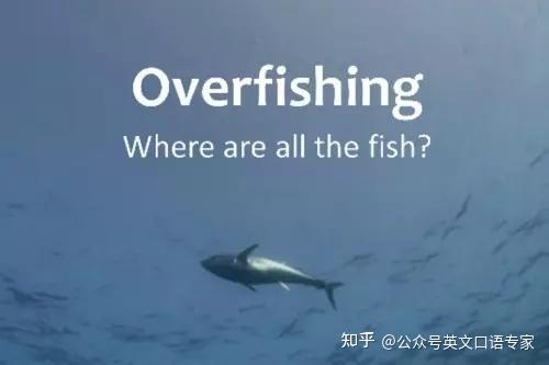 Will the Ocean Ever Run Out of Fish? - 知乎
