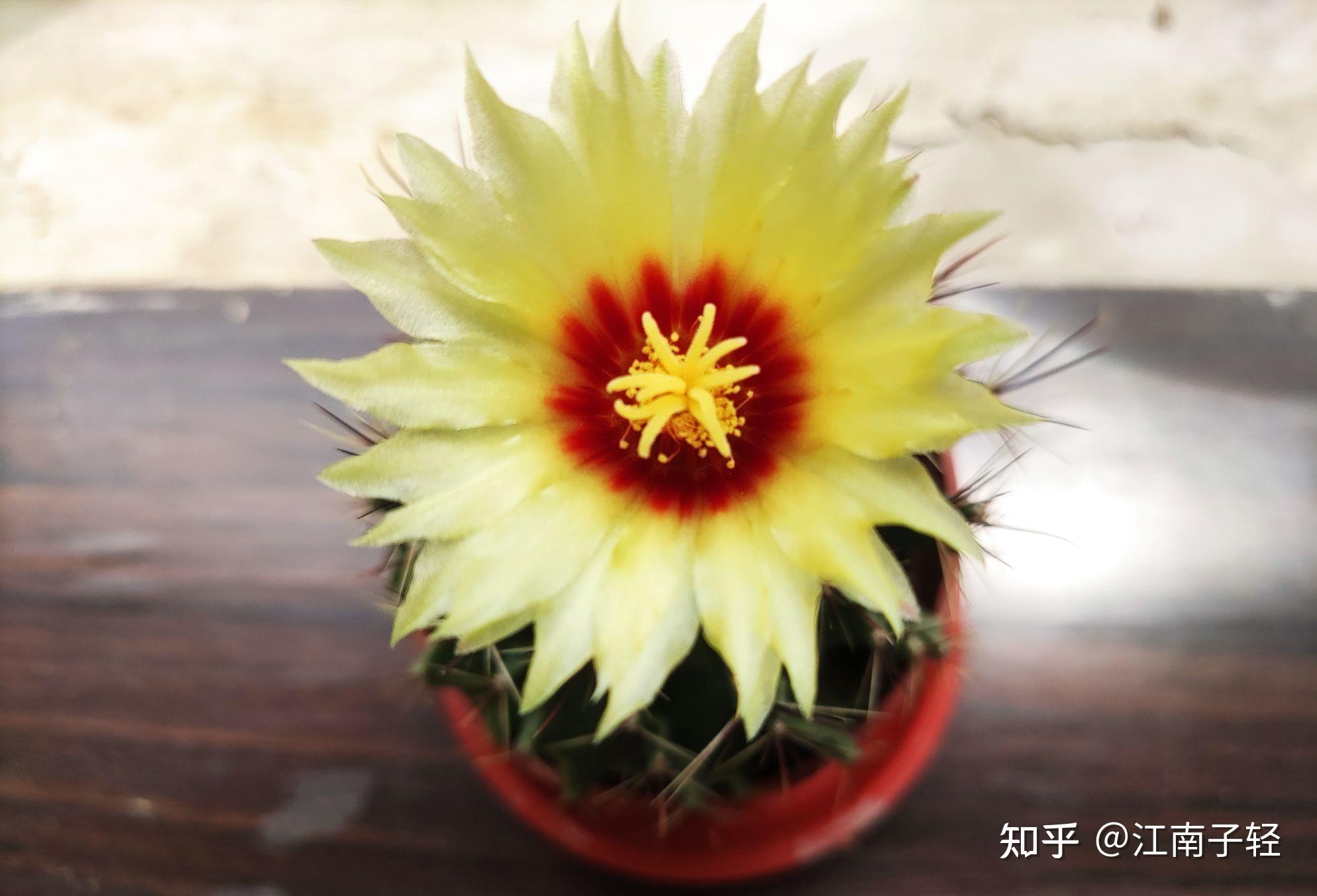 幸福心理学（二） 记住：过犹不及！多则劣，少则精！ - 知乎