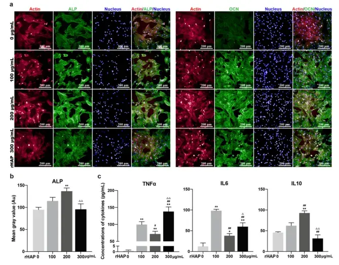 瑞孚迪高内涵细胞成像与分析系统助力微纳米材料在生物医学领域的研究-上海玮驰仪器有限公司