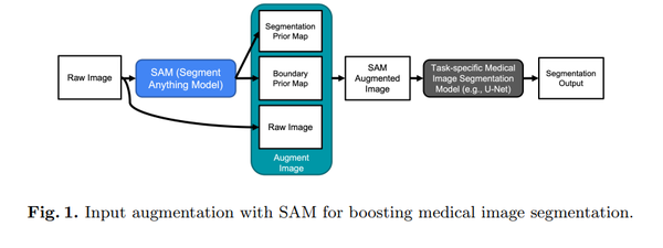 SAM在医学影像中的应用（最新） - 知乎