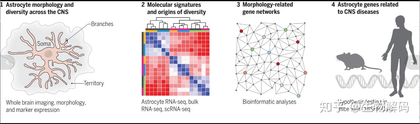 每日文摘 | 2022年11月05日 - 知乎