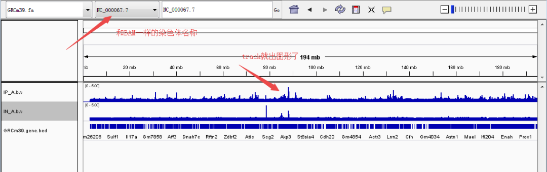 ChIP-seq/DAP-seq/ATAC-seq/CUT&Tag结果可视化-IGV使用攻略 - 知乎