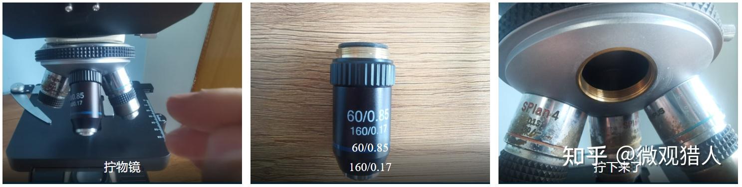 显微基础丨③物镜 - 知乎