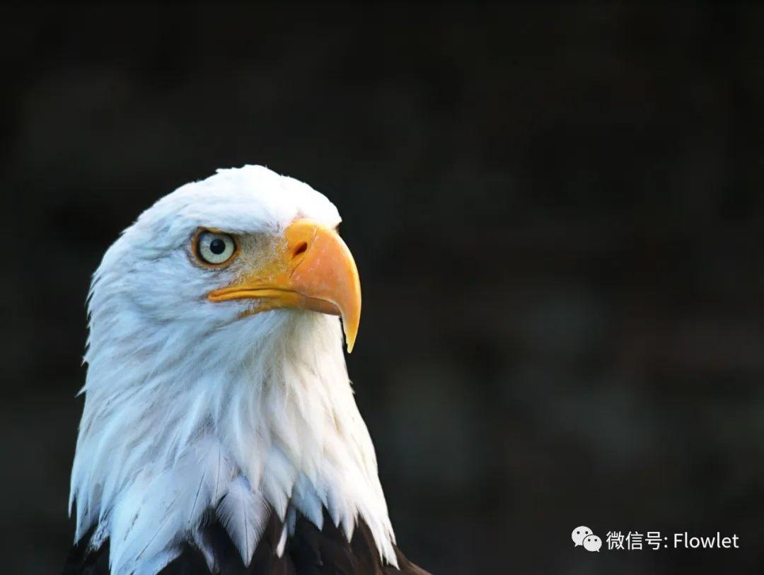 virtio —— 一种 Linux I/O 半虚拟化框架 [译] - 知乎