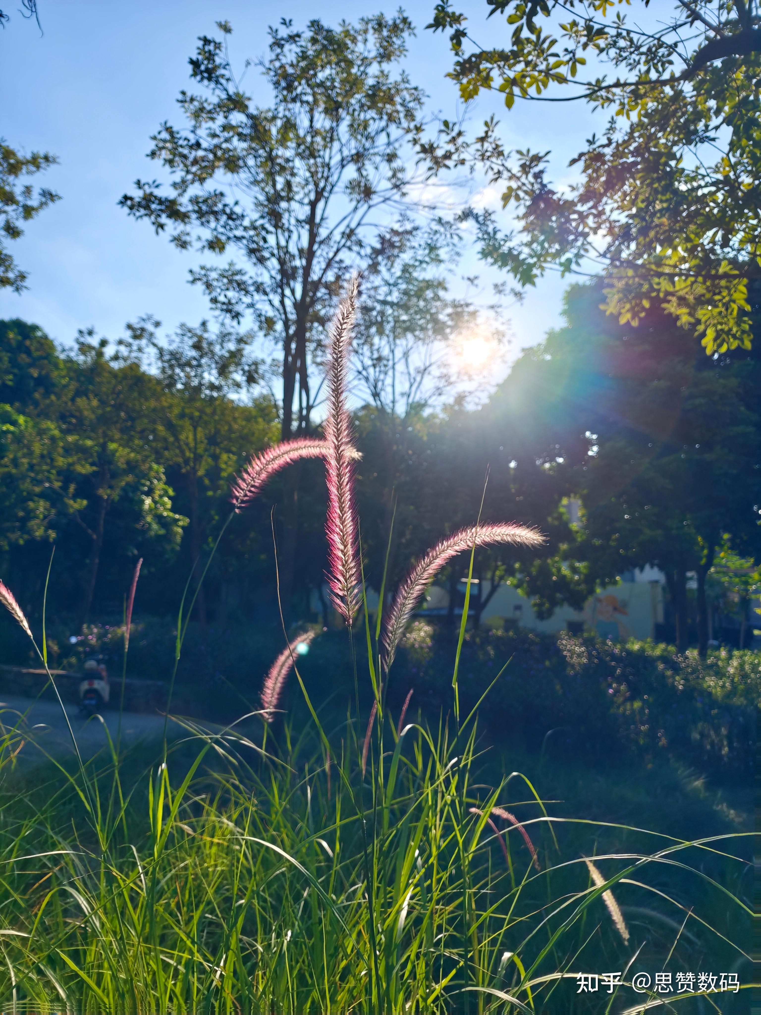 影像音质详细测 REDMI K90 Pro Max测评