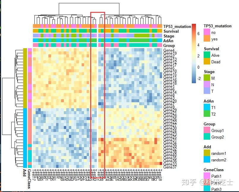 手把手教你绘制进阶版热图 - 知乎