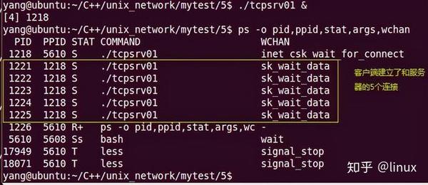 linux下wait/waitpid处理僵死进程详解(SIGCHLD信号) - 知乎
