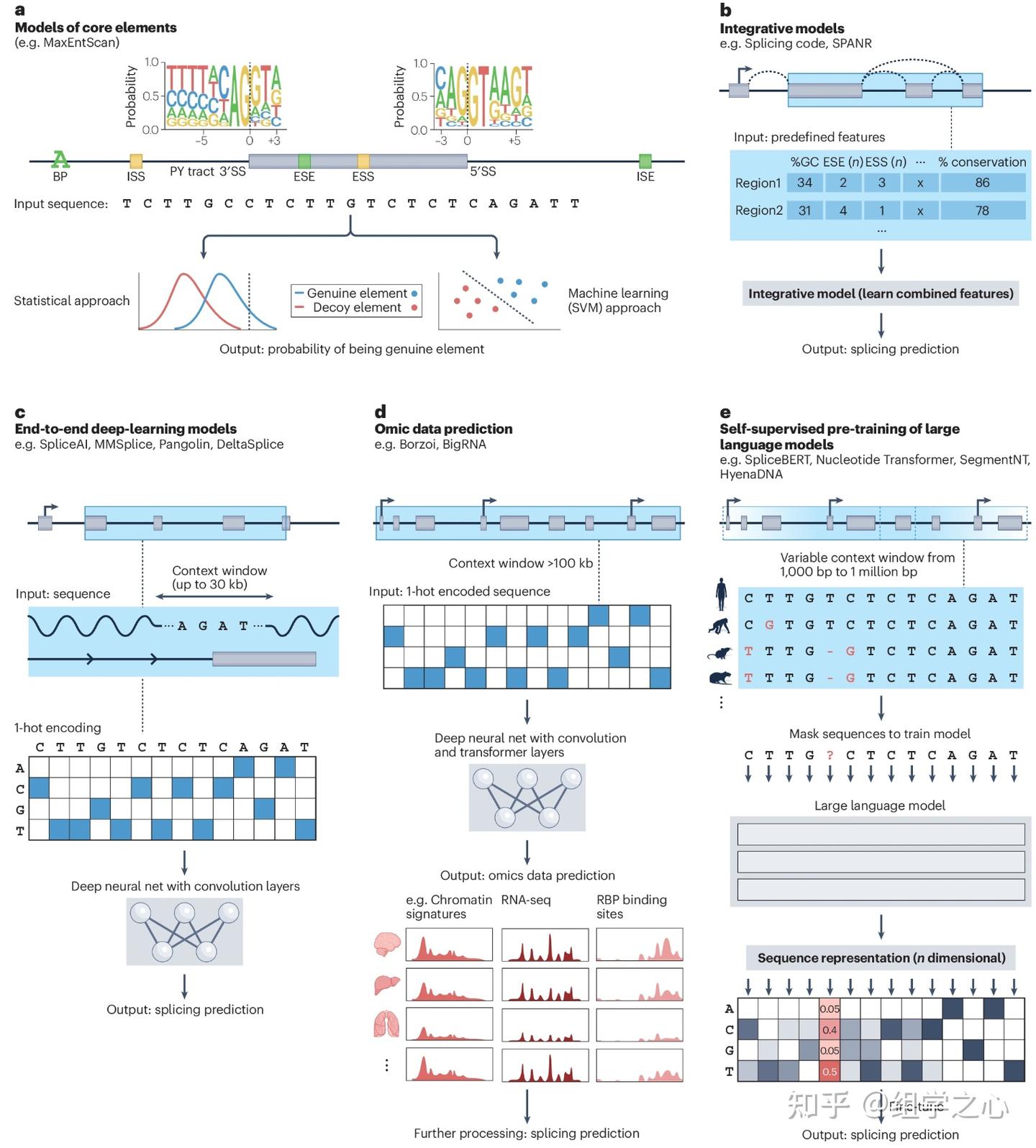 Nat Rev Genet | 如果DNA序列能“说话”？深度学习S2E（序列2表达）模型正在听懂基因组的调控秘密！ - 知乎