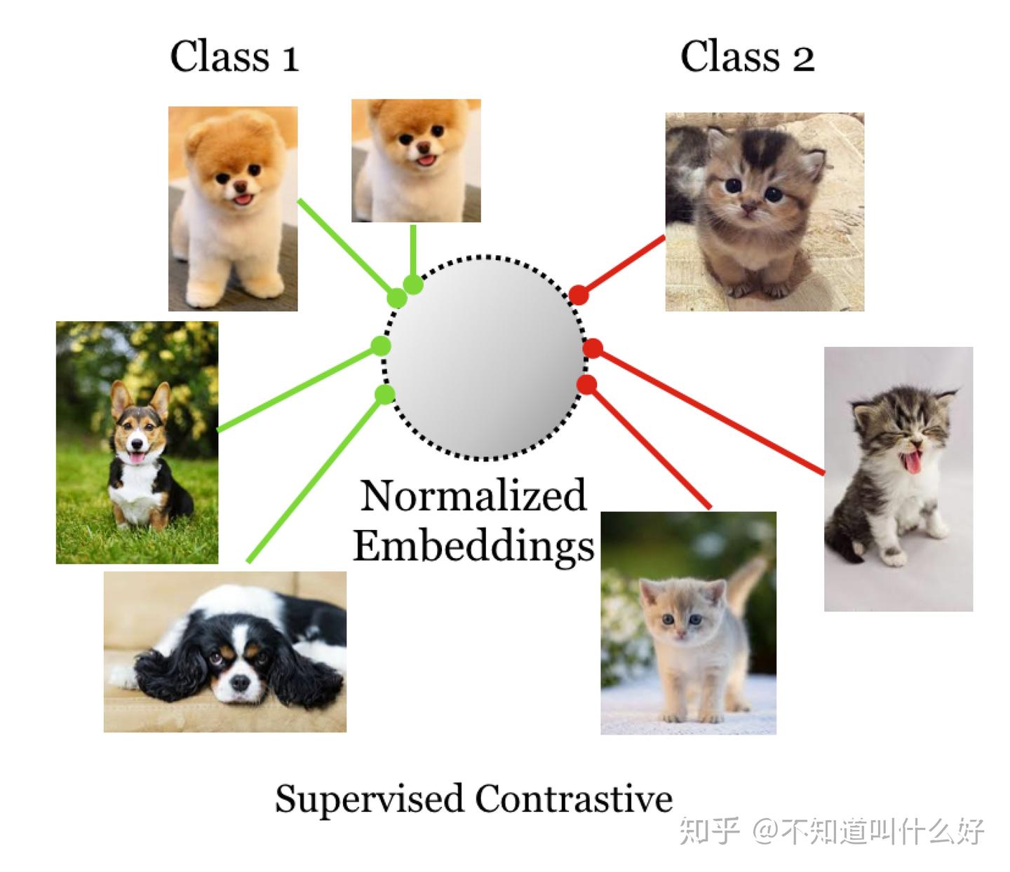 有监督对比学习：Supervised Contrastive Learning - 知乎