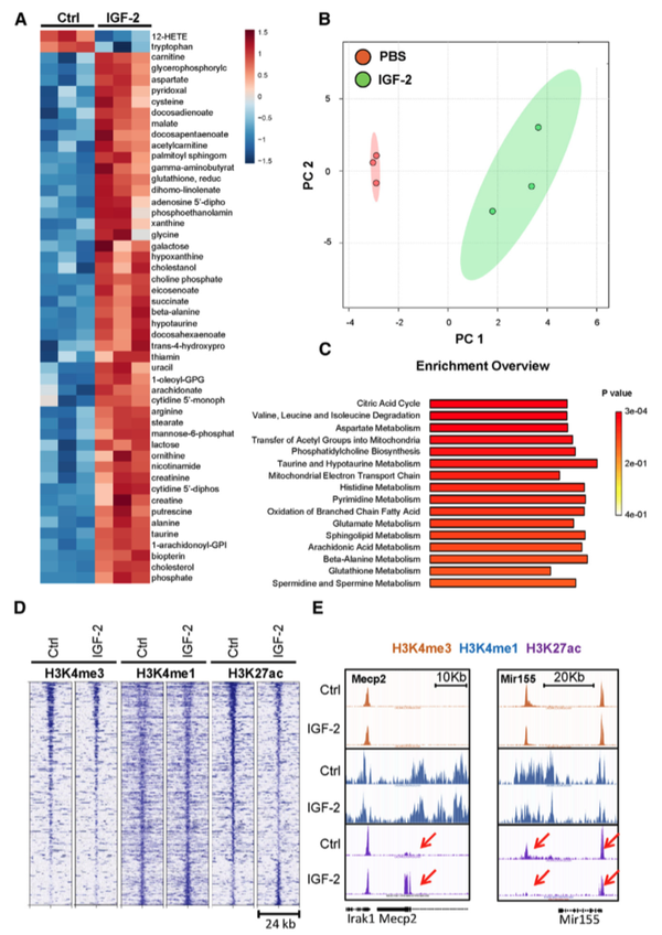 Immunity丨IGF-2处理使巨噬细胞代谢重编程从而发挥抗炎作用 - 知乎
