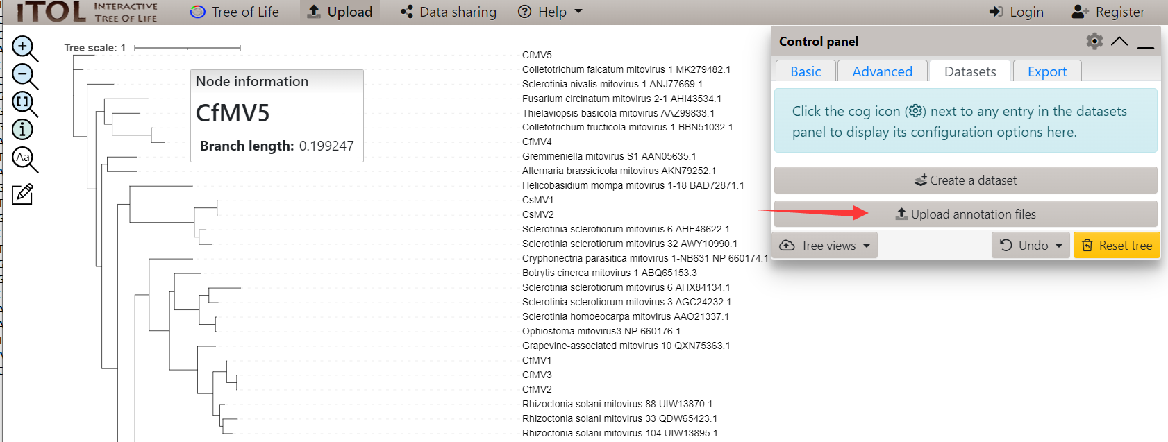 系统进化树的构建及美化(phylusuite+iTOL) - 知乎