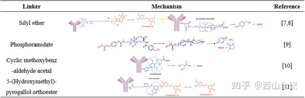 ADC中可裂解Linker的机制汇总 - 知乎