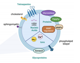 实现组织再生的ECM材料到底是什么？ - 知乎