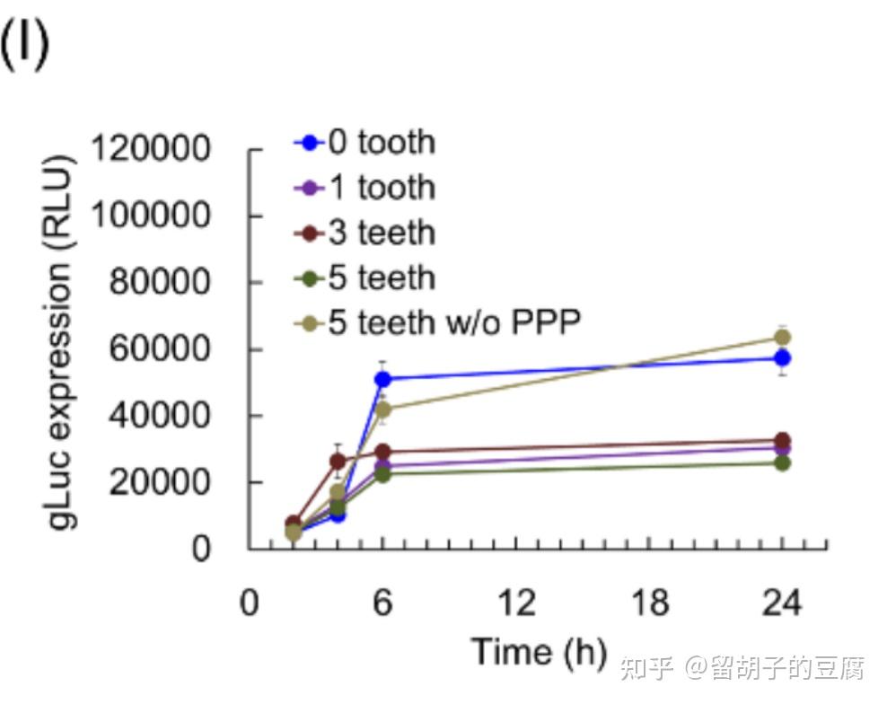 mRNA疫苗抗原序列嵌合dsRNA佐剂，增强癌症治疗过程中的细胞免疫。 - 知乎