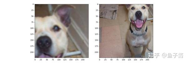详解22种transforms数据预处理方法 - 知乎