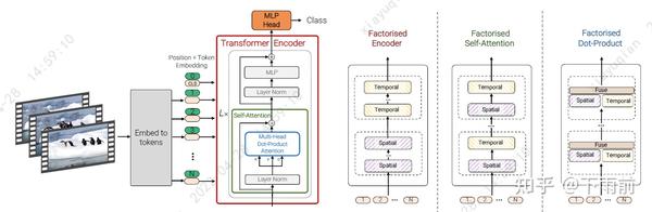 ViViT: A Video Vision Transformer阅读和代码 - 知乎