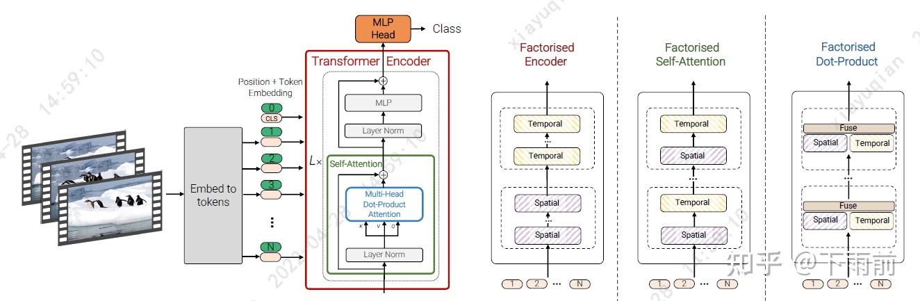 ViViT: A Video Vision Transformer阅读和代码 - 知乎