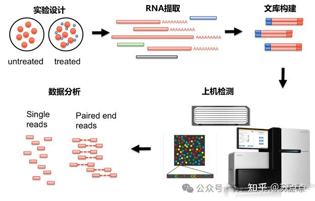 RNA-Seq分析流程 - 知乎