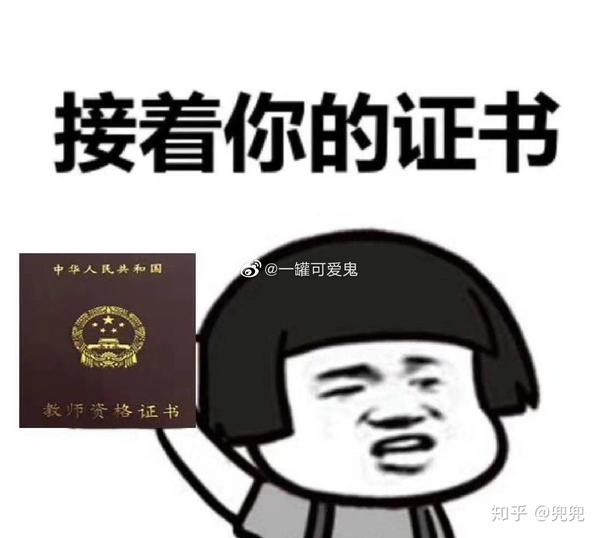 教资过过过 知乎