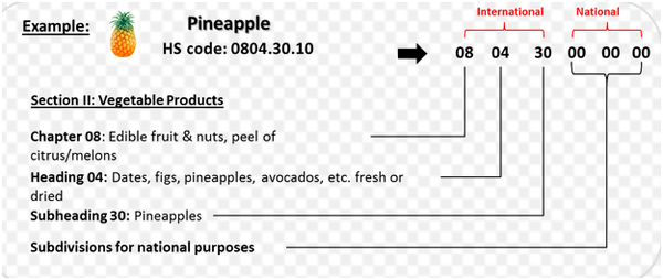 什么是 HS 编码：详细解释指南 - 知乎