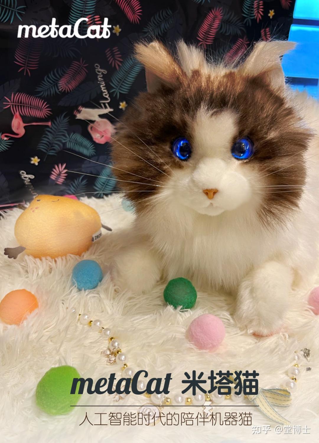大象机器人：超萌metaCat米塔猫，硬科技也可以柔软治愈 - 知乎
