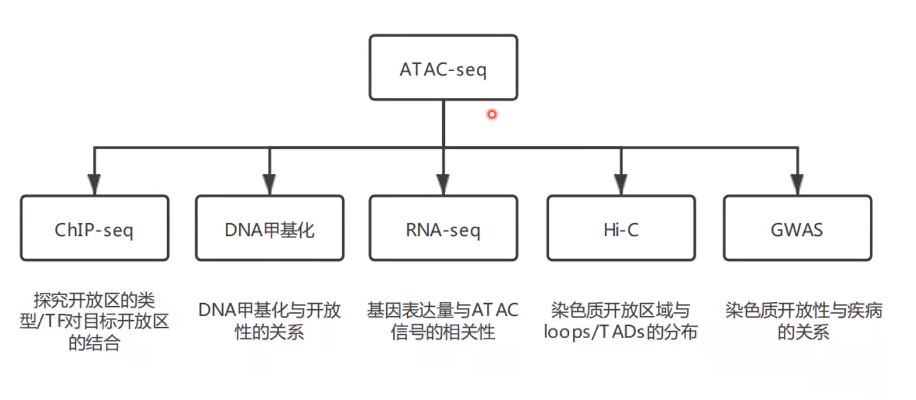 一文了解CUT&Tag技术 - 知乎