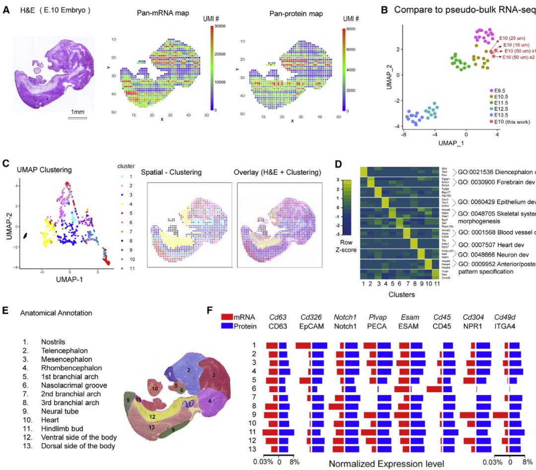 Cell | 高空间分辨率的微流控空间组学DBiT-seq - 知乎