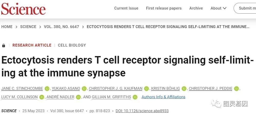 Science | 颠覆传统认知：免疫突触的胞吐下调TCR通路 - 知乎