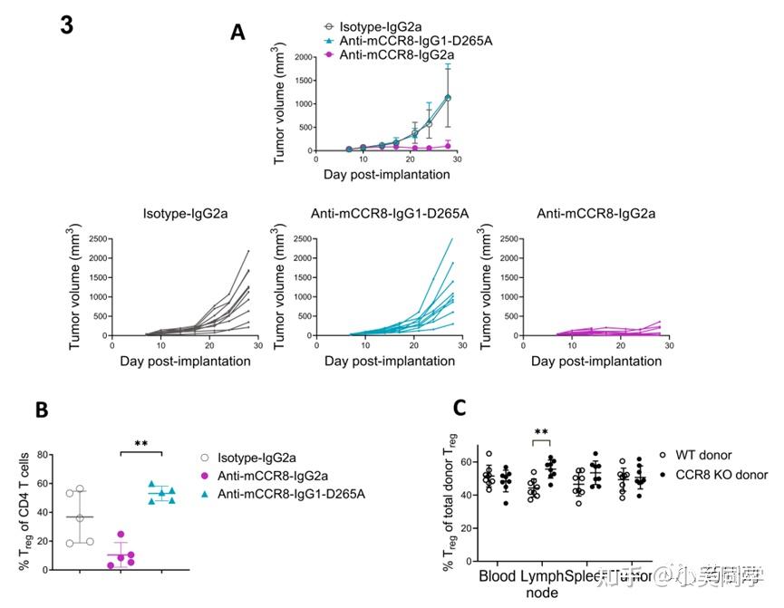国内首款丨礼新医药CCR8单抗获批临床，CCR8靶点梳理 - 知乎