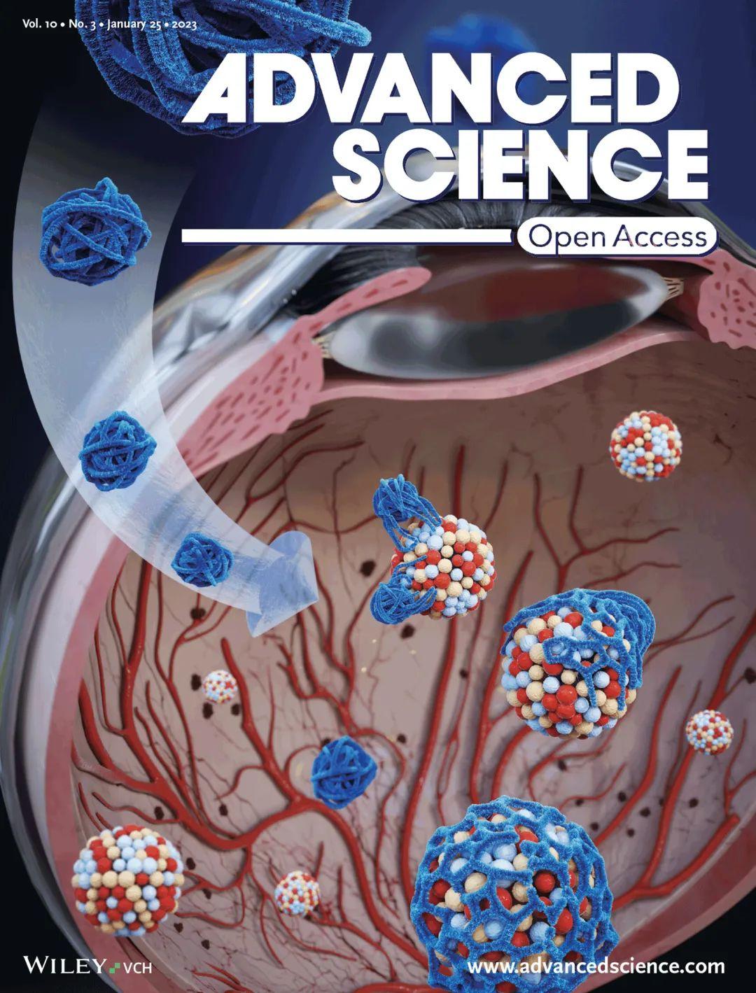 药物联用疗效提升 35%，开发「智能超分子肽」滴眼液无创治疗 DR，正联合公司准备 IND 申请｜专访胡波 - 知乎