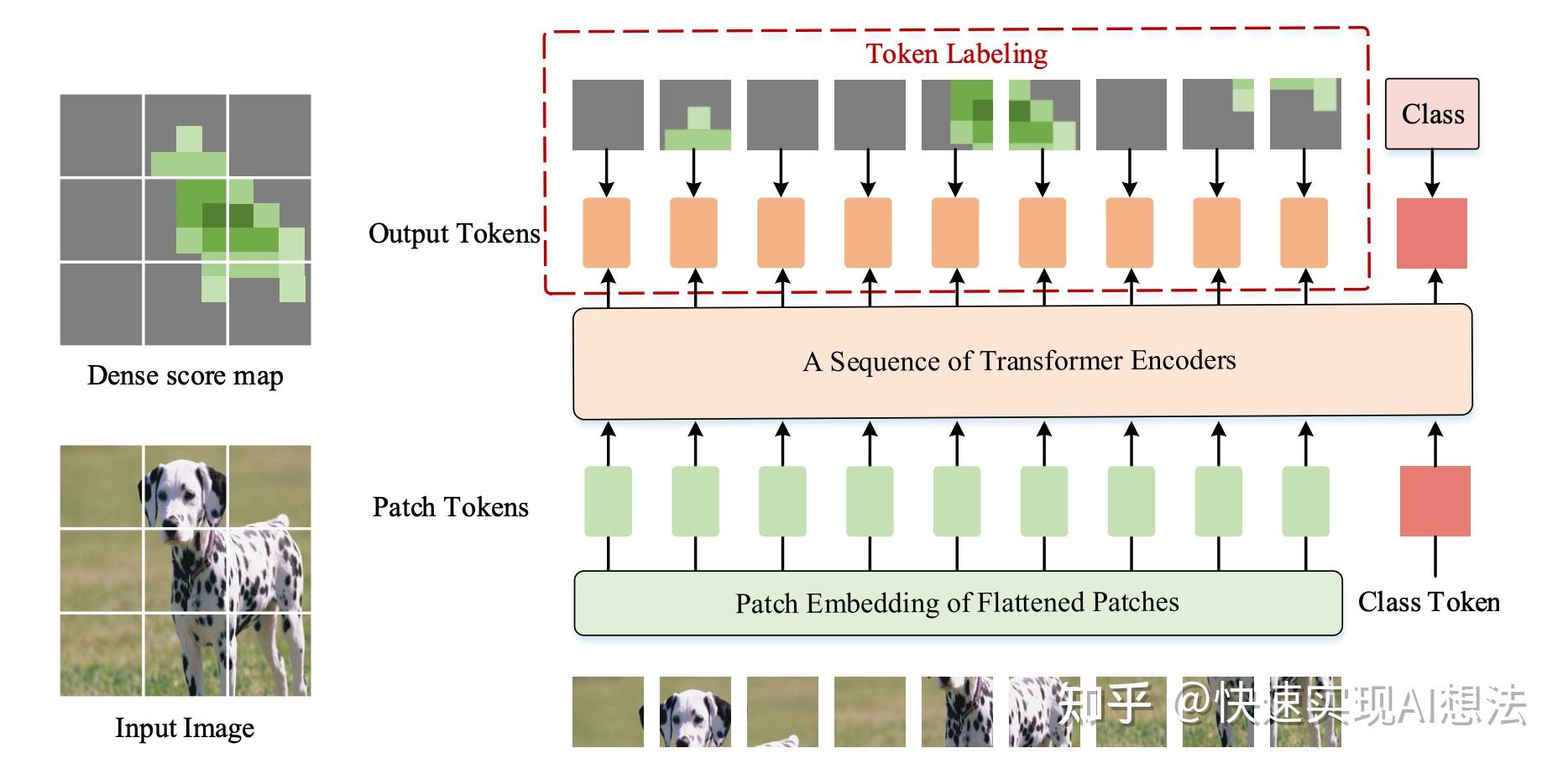 基于PaddlePaddle的All Tokens Matter复现 - 知乎