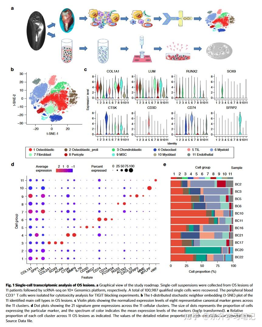 文献阅读：单细胞测序+OS+2020+nature communication（二） - 知乎