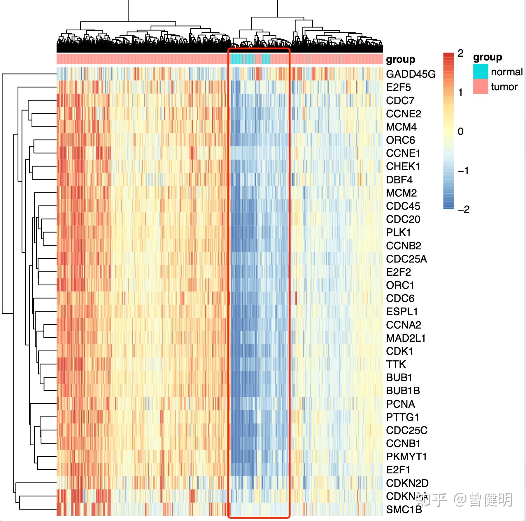 指定通路绘制gsea图热图和火山图 - 知乎