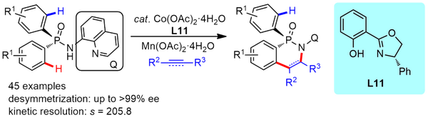 浙江大学史炳锋教授团队：探索惰性碳氢键活化新策略 - 知乎